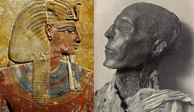The royal mummies of the cache of Deir el-Bahari