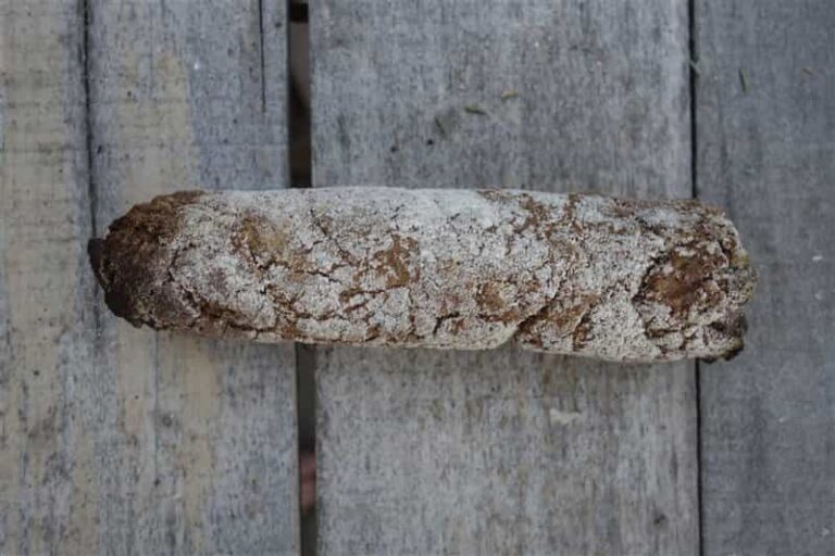 How did ancient Egyptians bake bread?