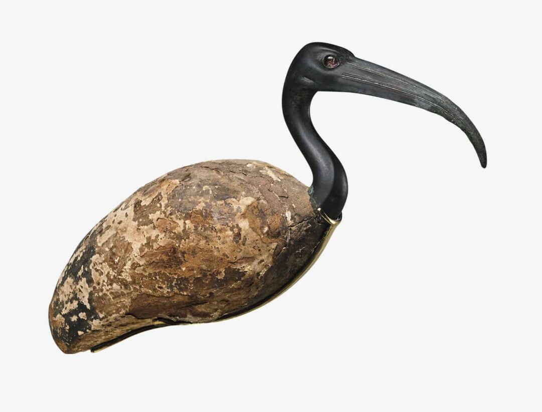Sacred birds of ancient Egypt