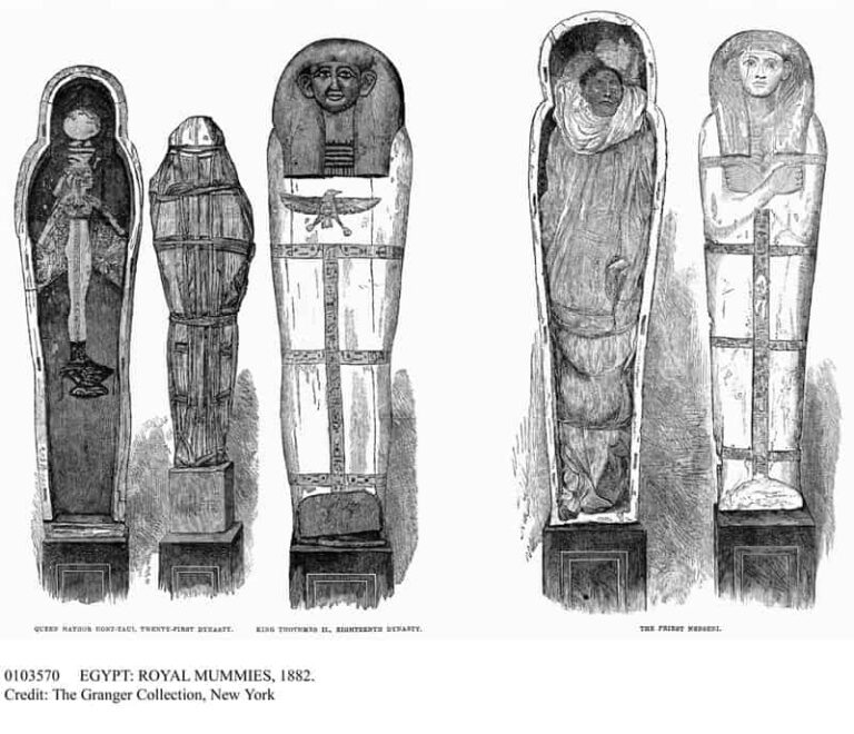 The royal mummies of the cache of Deir el-Bahari