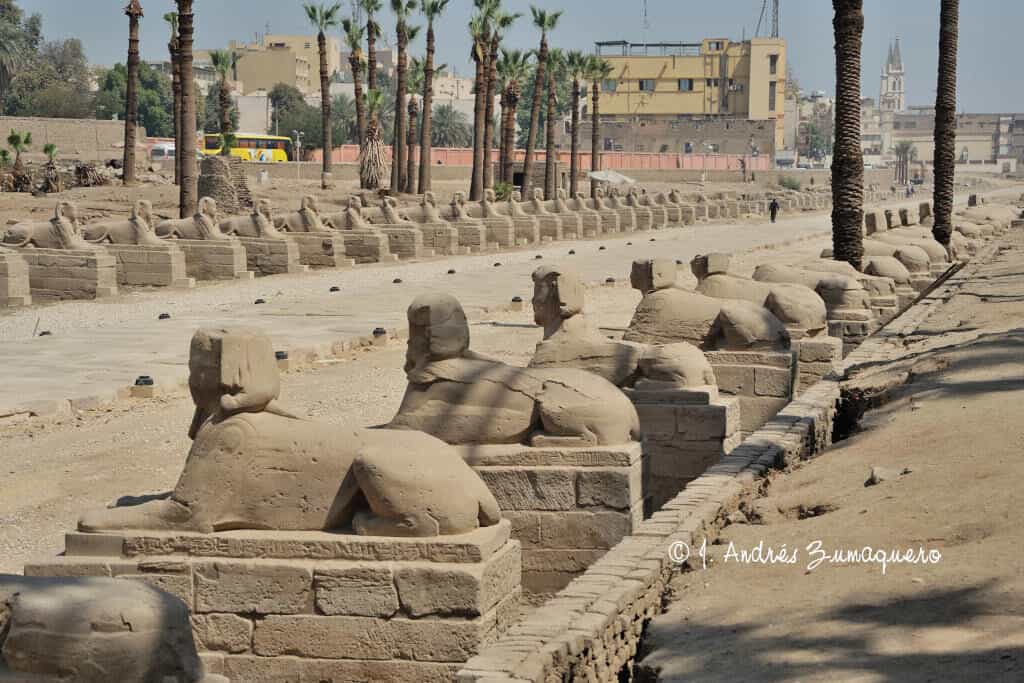 What was the purpose of the sphinxes in ancient Egypt?