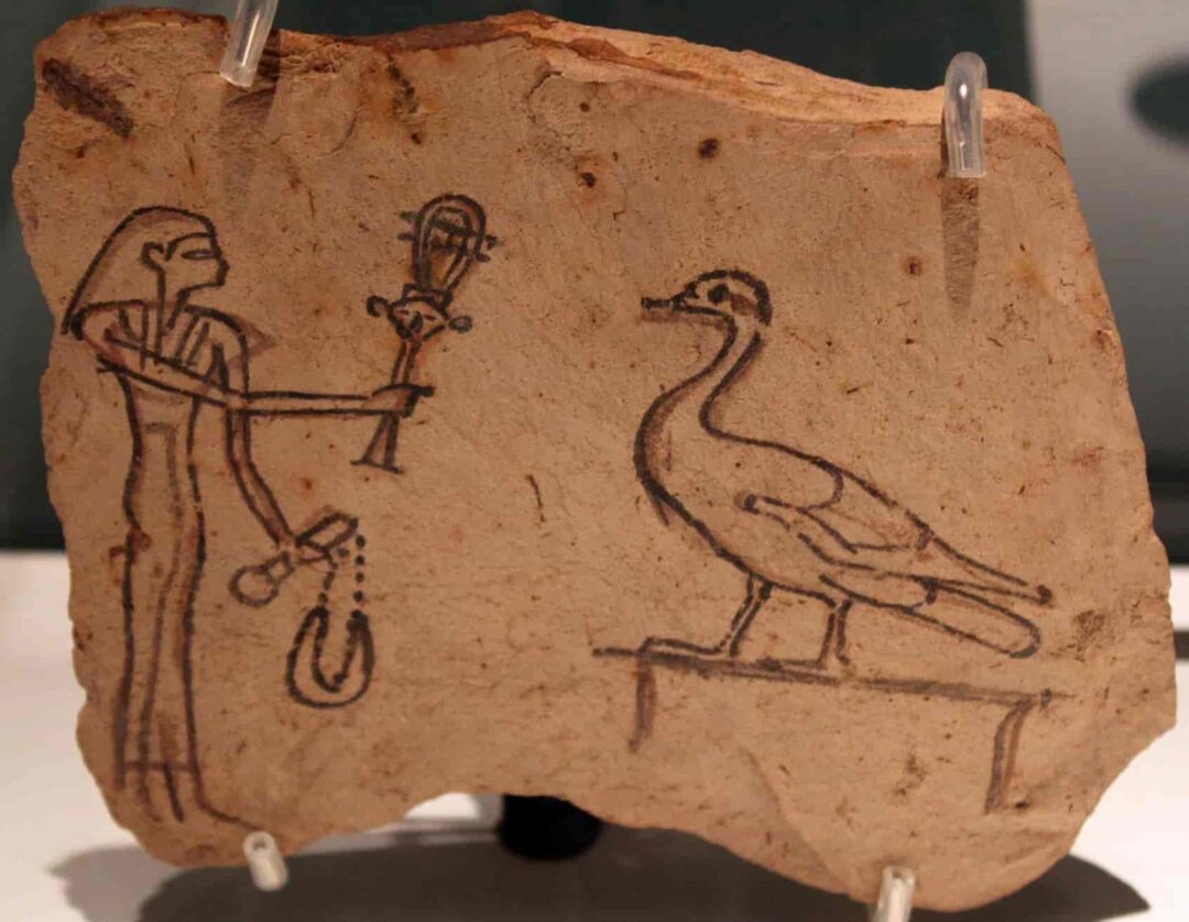 The ostraca of Deir el-Medina