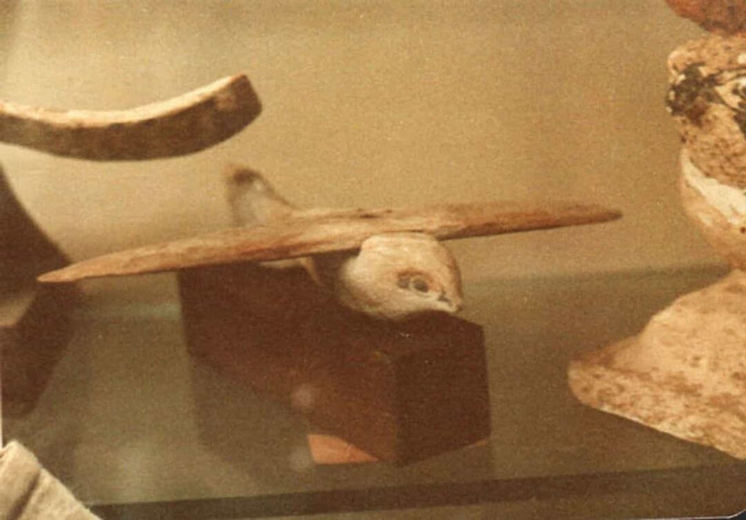The Saqqara Bird: Did Ancient Egyptians Have Flying Machines?