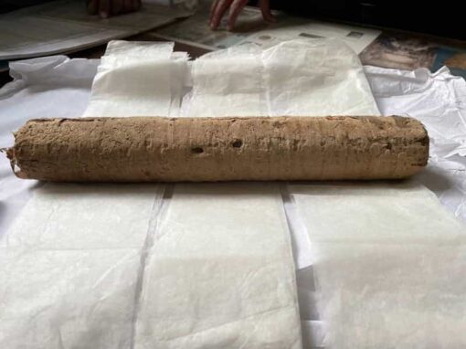 The Discovery of 16-meter-long "Book of the Dead" Papyrus