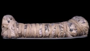 Mummy of Cleopatra
