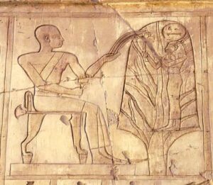 The Tree of Life in Ancient Egyptian Tradition