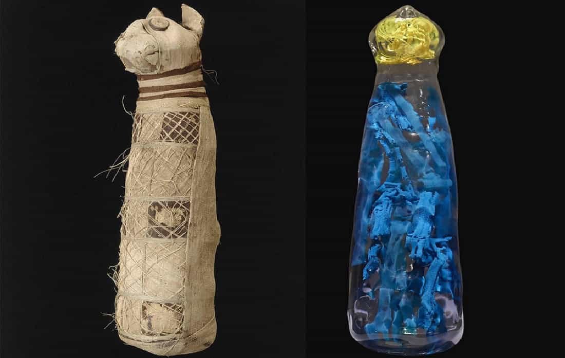 This is What Was Hidden Inside an Egyptian Cat Mummy